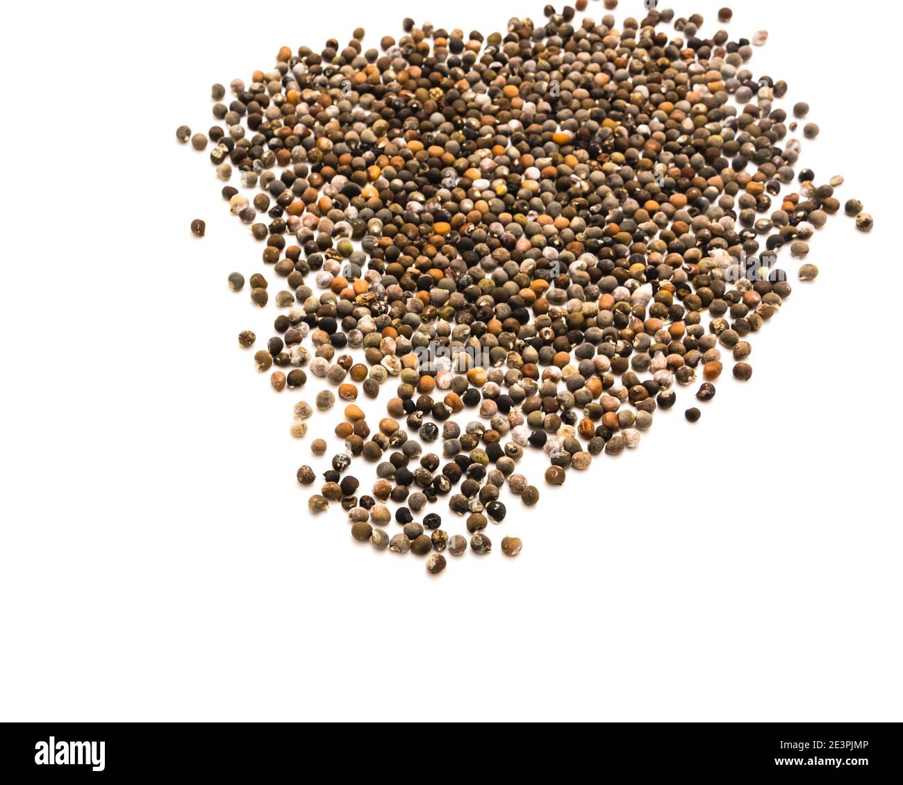 Mound of homegrown okra seeds isolated on white background. Organic and ...