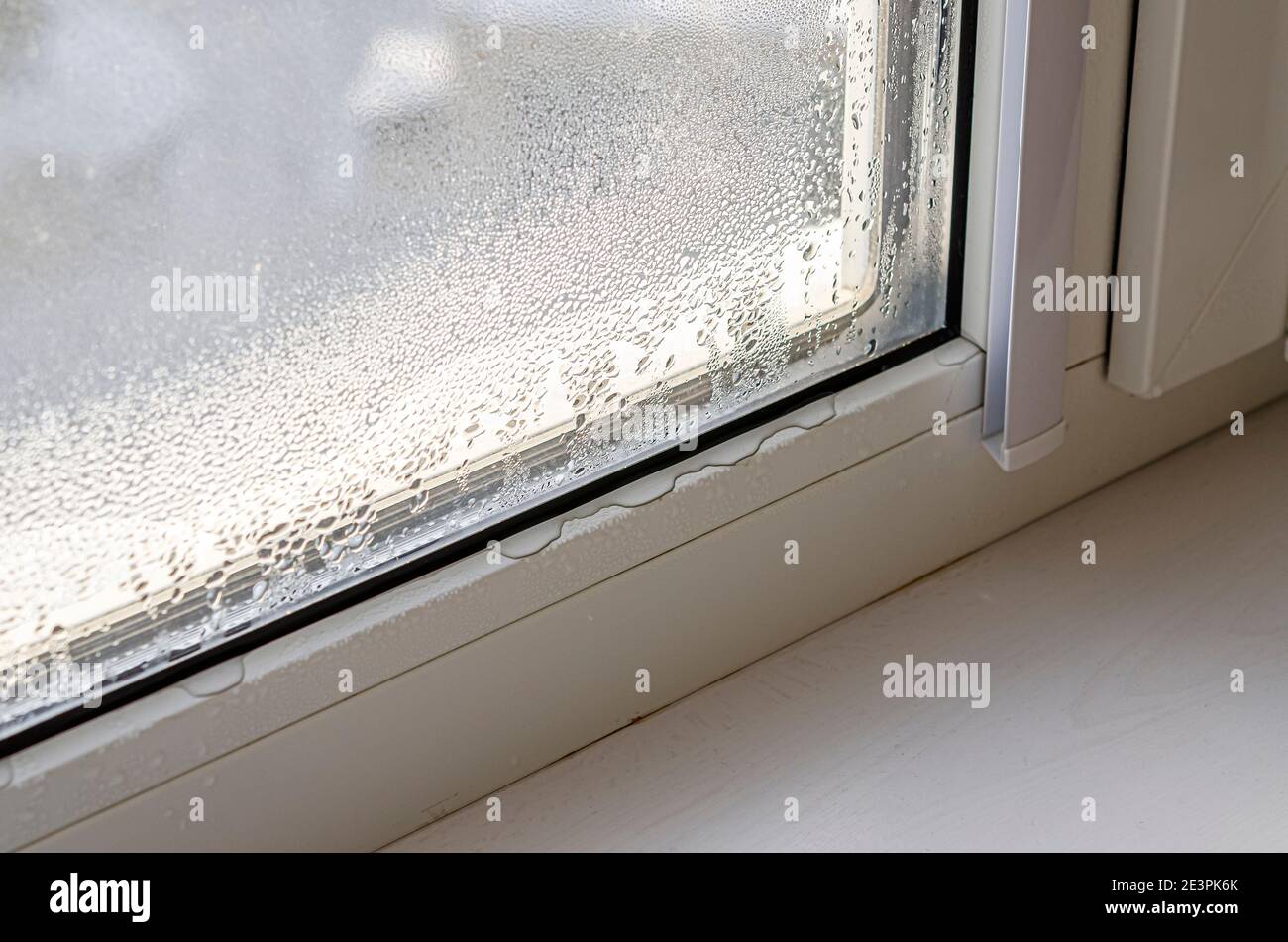 Black Mold Window Condensation