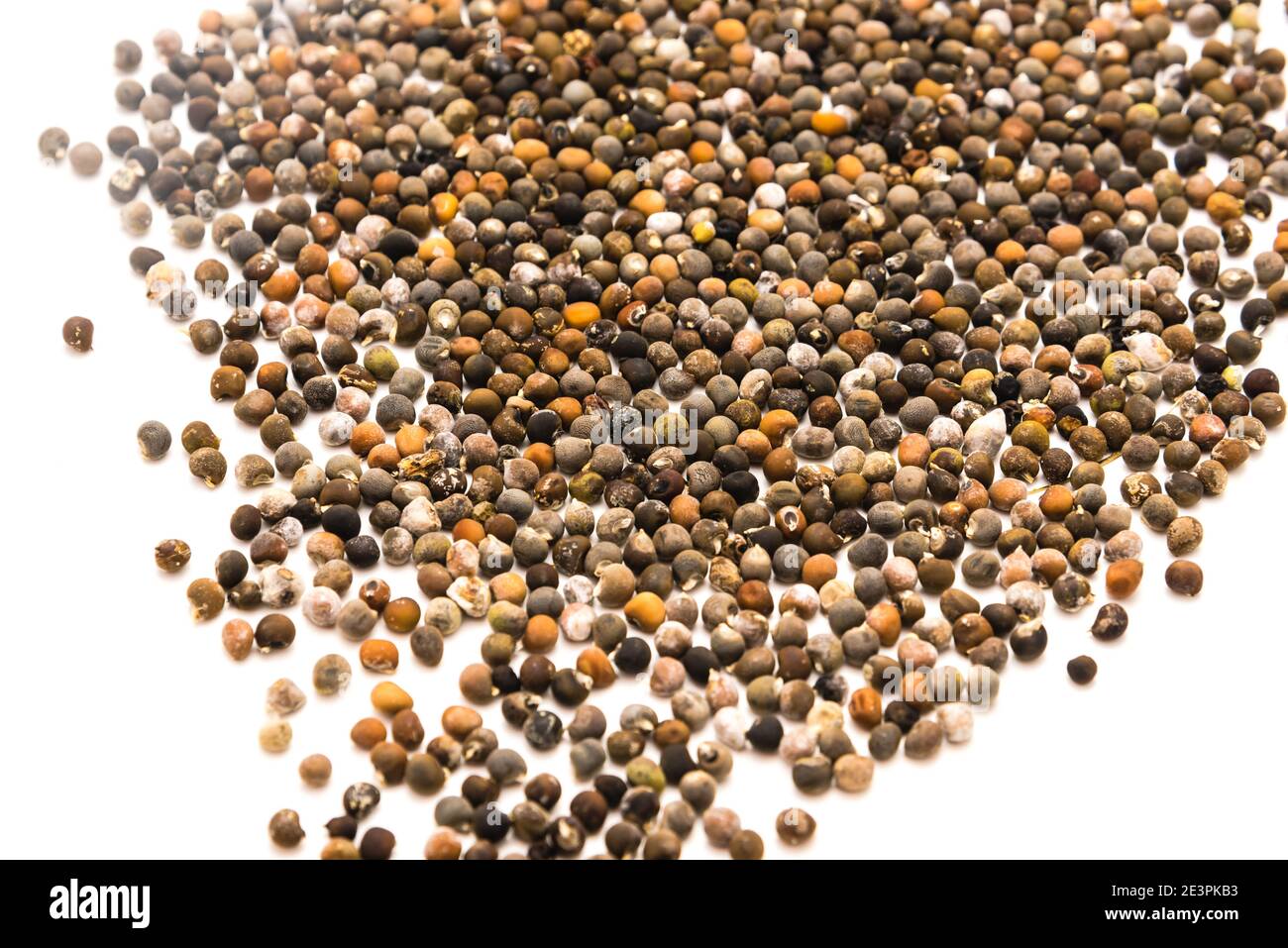 Spread view of organic okra seeds isolated on white background. Non ...