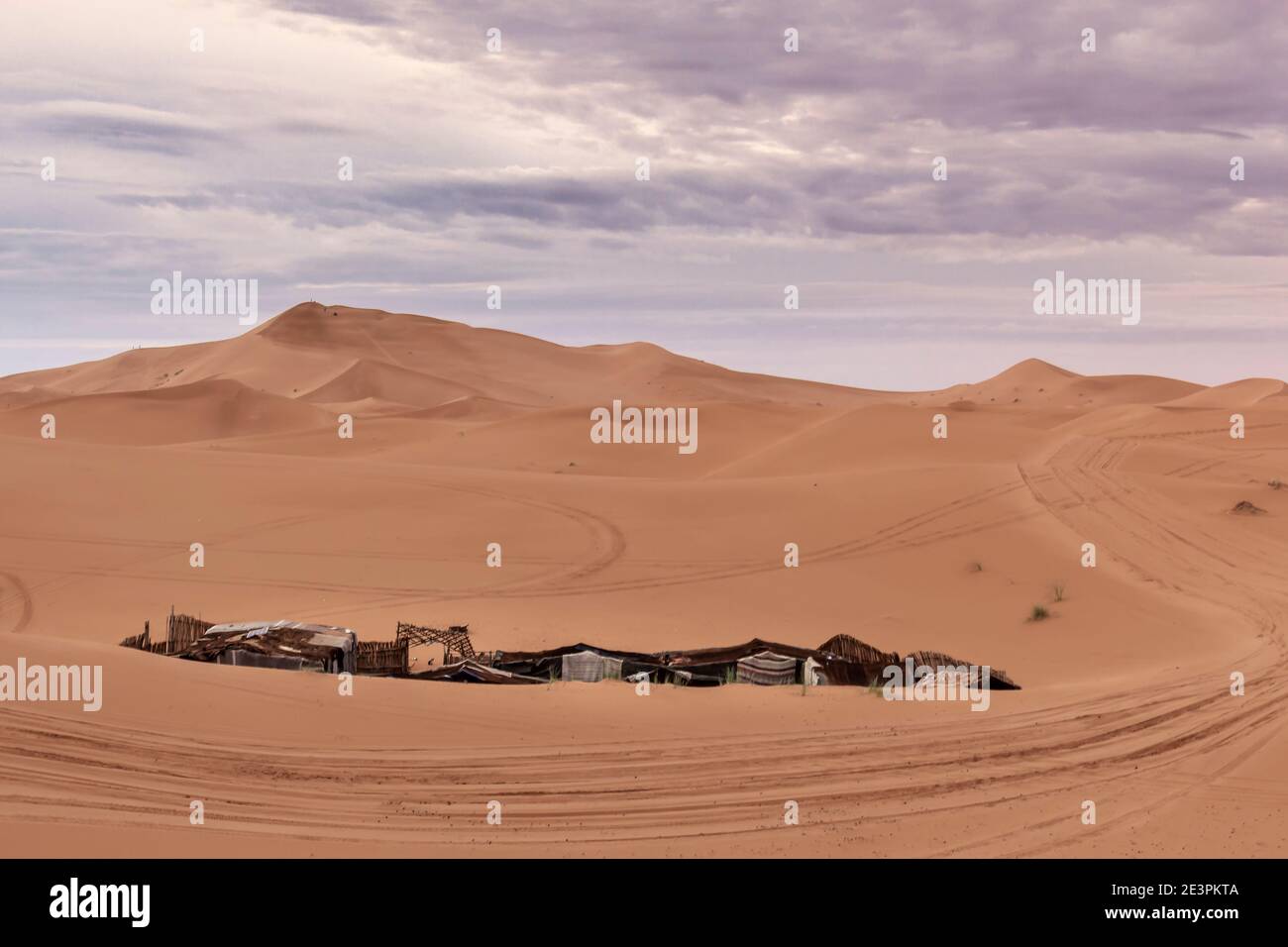 oasis camp in the sahara desert Stock Photo - Alamy