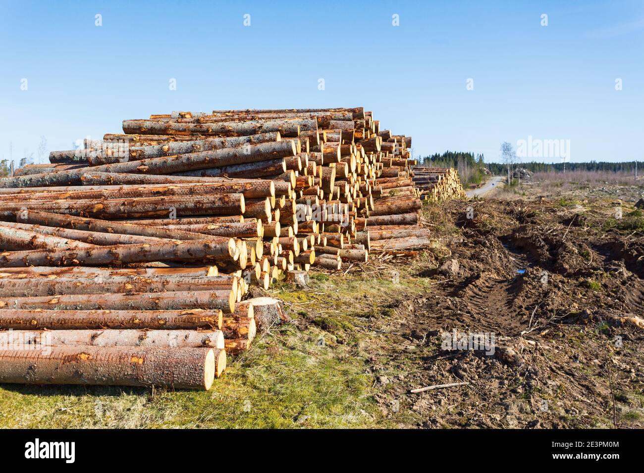 Taiga deforestation hi-res stock photography and images - Alamy