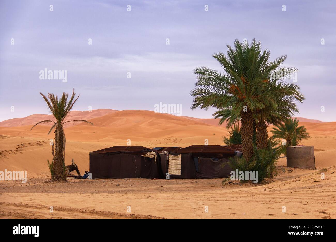 oasis camp in the sahara desert Stock Photo - Alamy