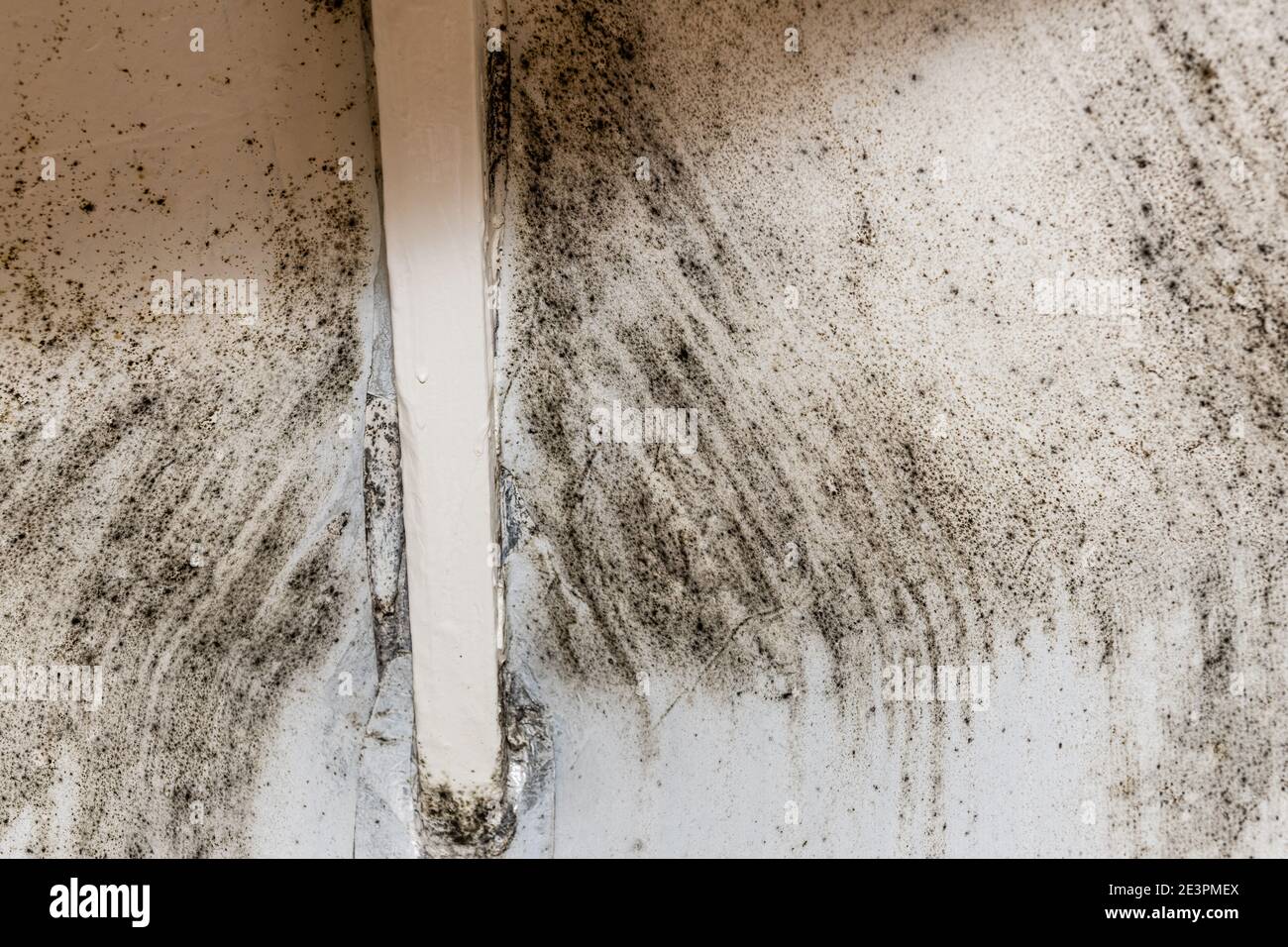 Damp walls hi-res stock photography and images - Alamy