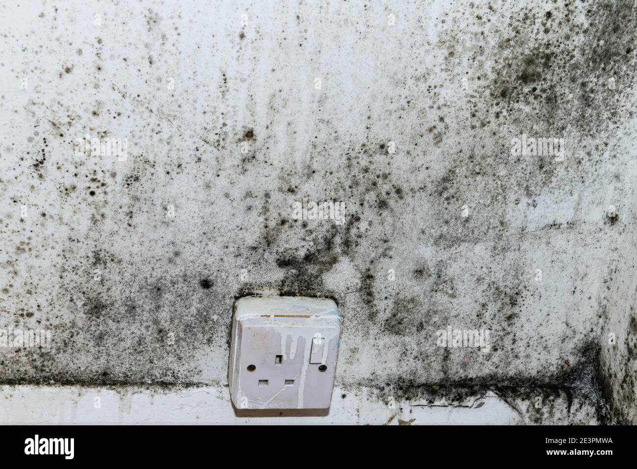 Mold on wall Stock Photo - Alamy