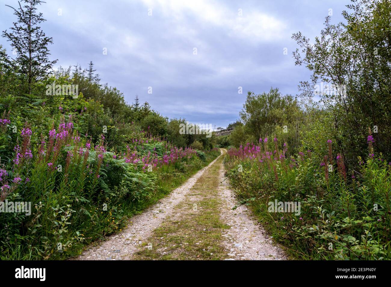 Path st Bonny Glen in County Donegal - Ireland Stock Photo - Alamy