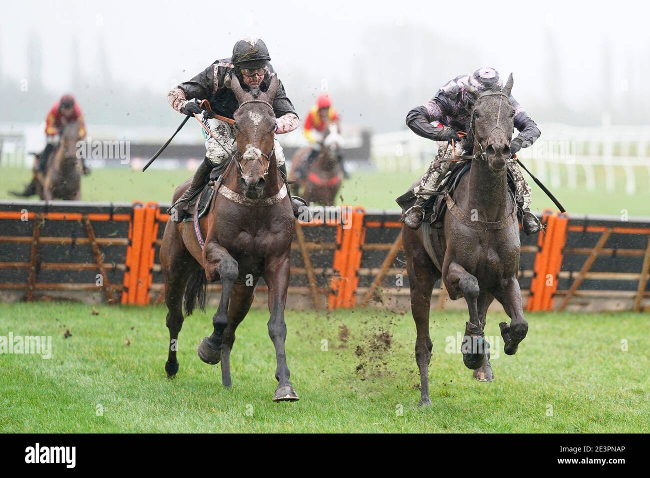Robins dream hi-res stock photography and images - Alamy