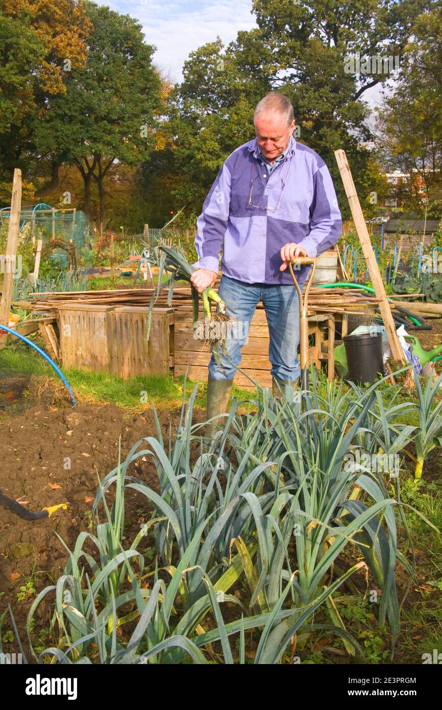 Allotment in burgess hill hi-res stock photography and images - Alamy