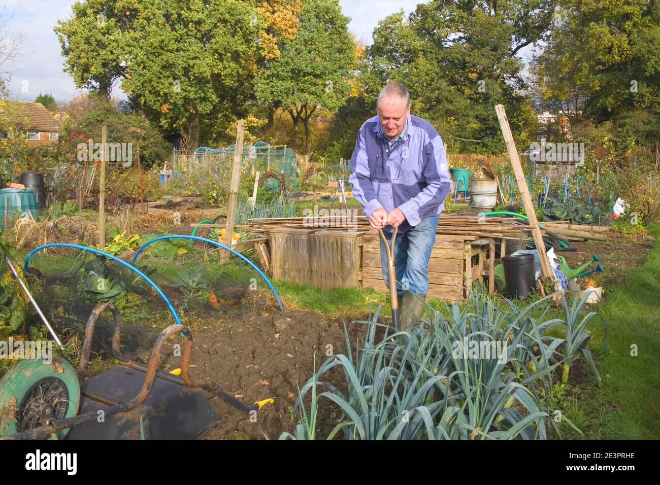 Allotment in burgess hill hi-res stock photography and images - Alamy