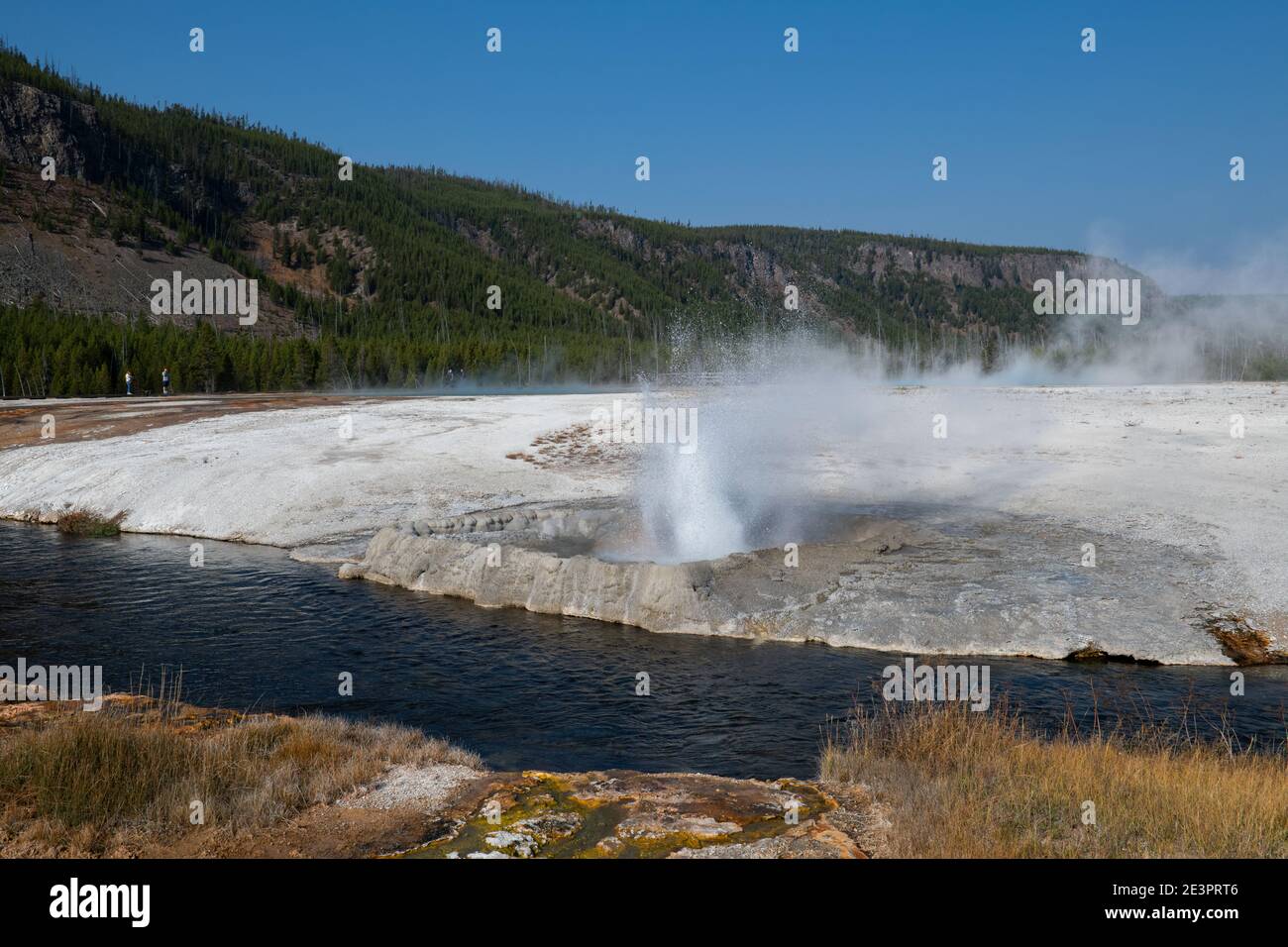 North America, Wyoming, Yellowstone National Park. Black Sand Basin ...