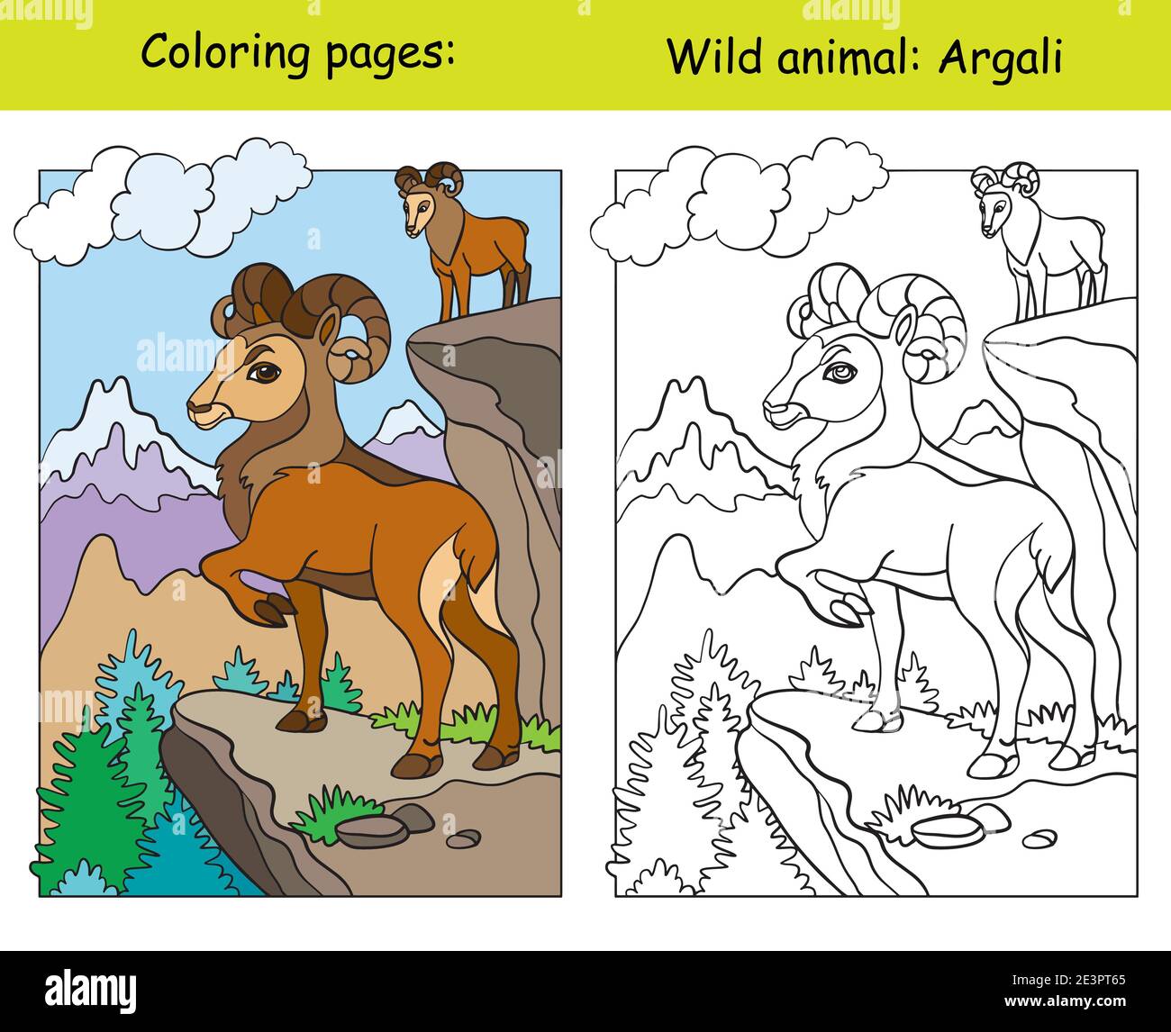 Vector coloring page with cute argali in mountain area. Cartoon ...