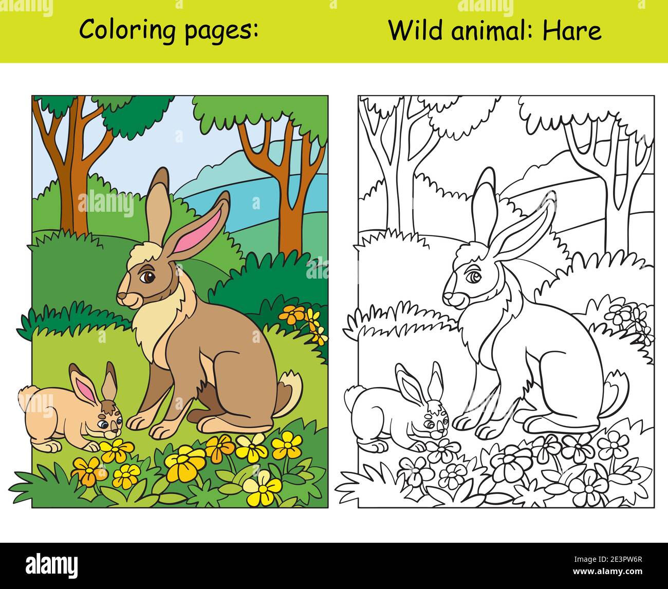 Vector coloring page with cute hare in the forest. Cartoon isolated ...