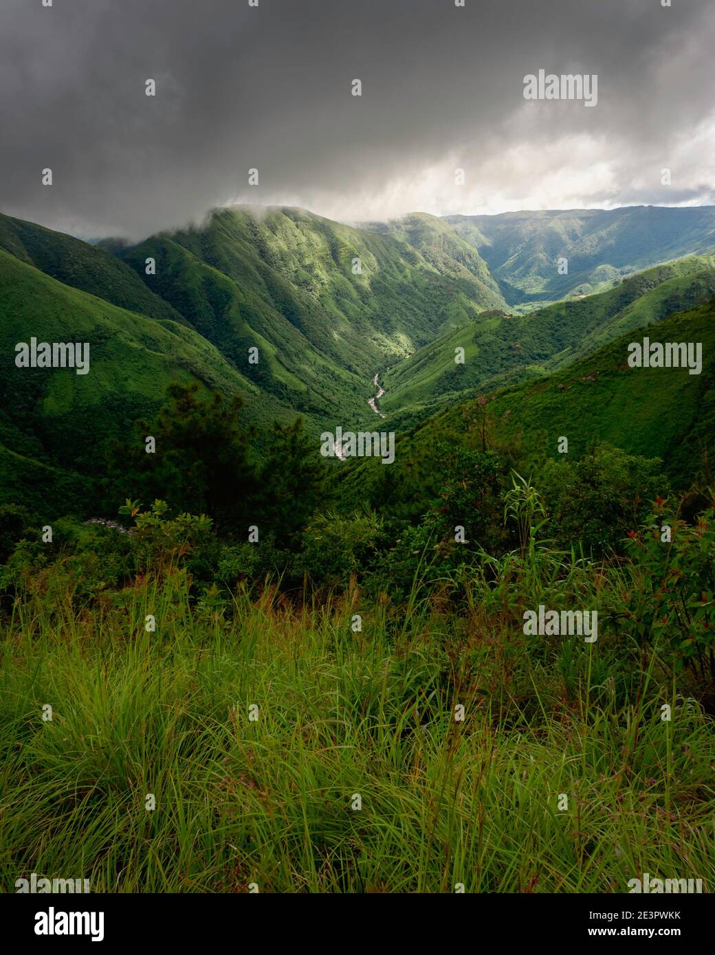 Grasses of hills hi-res stock photography and images - Alamy