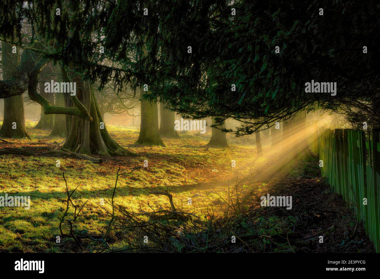 Ray of early morning light hi-res stock photography and images - Alamy