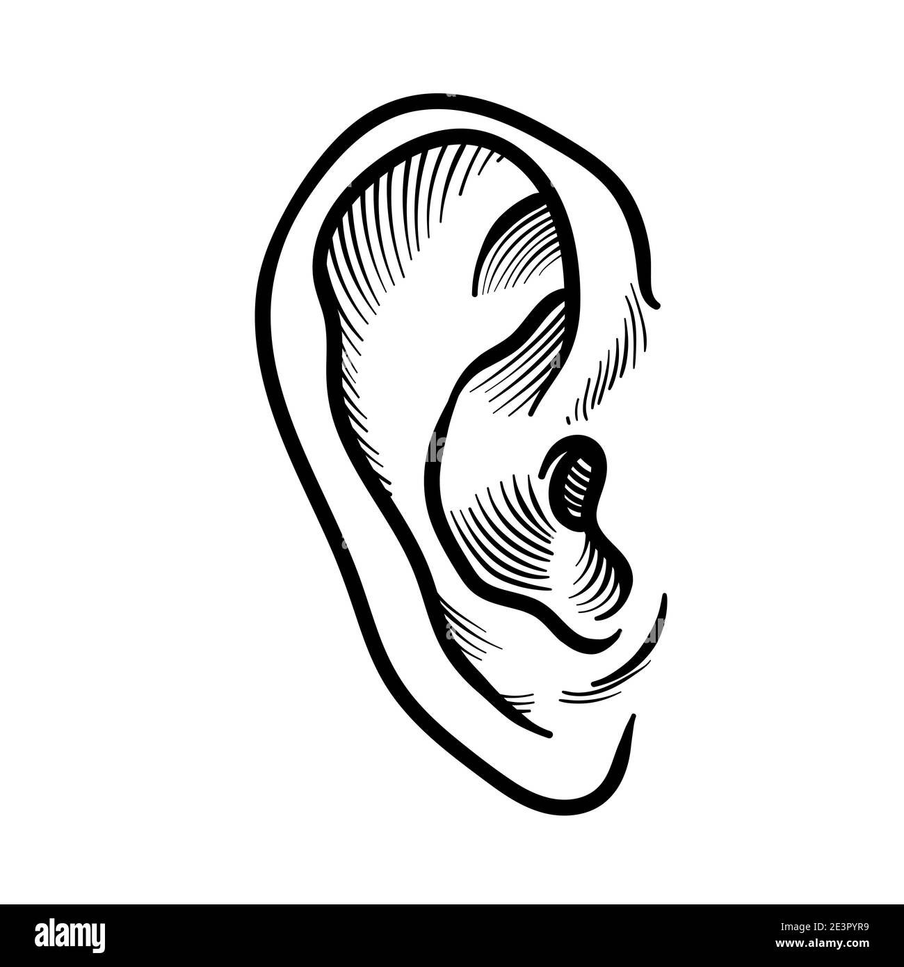 Hand Drawn Ear Sketch Symbol. Vector Listen Element In doodle Style ...