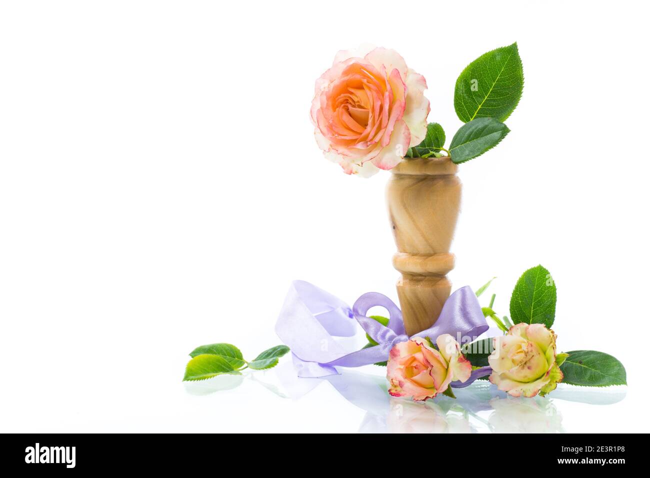 pink beautiful summer roses isolated on white background Stock Photo ...