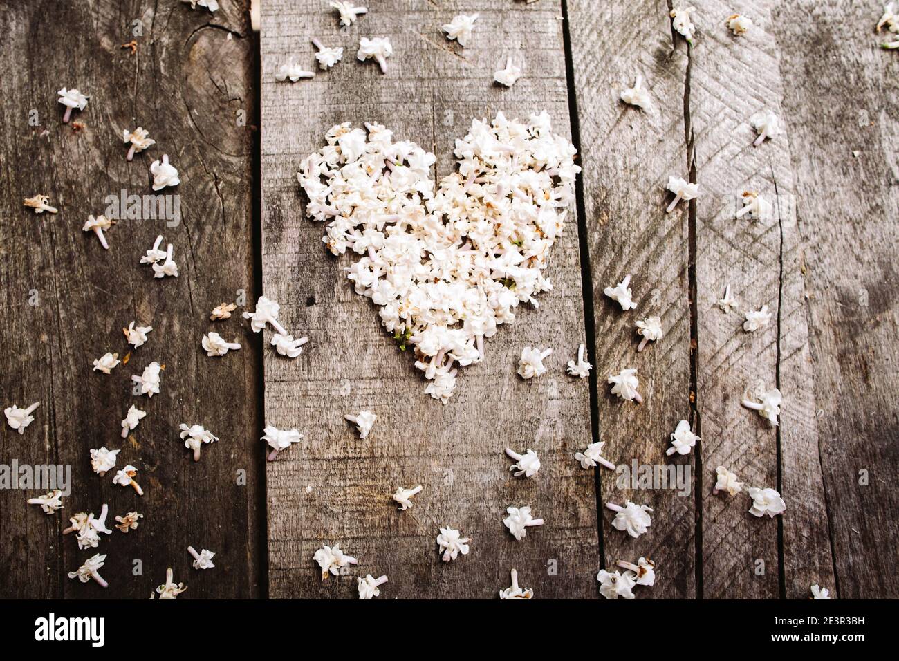 Proposal ring on violet background hi-res stock photography and images ...