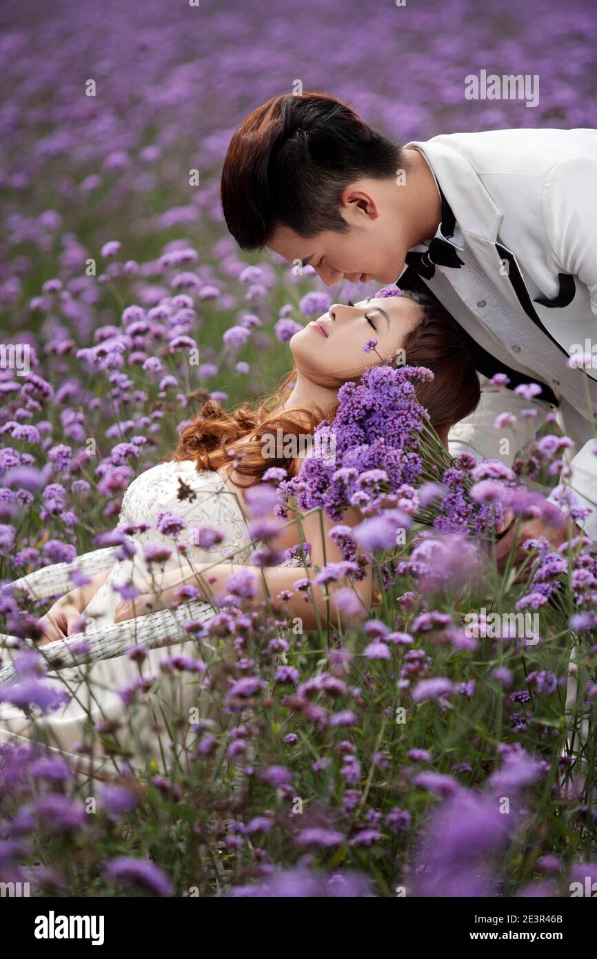 Romantic Lavender wedding couple high quality photo Stock Photo - Alamy