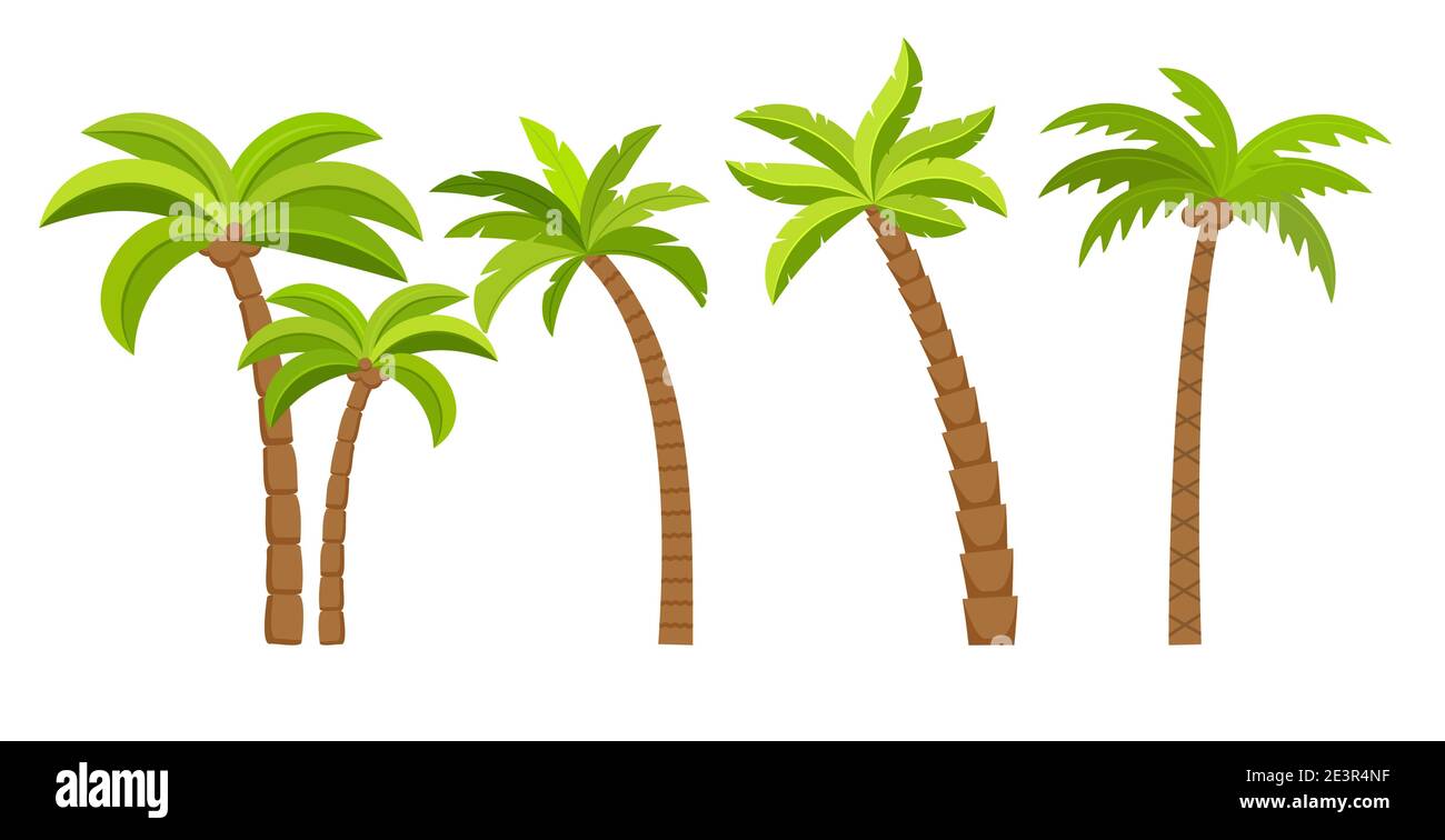 Hawaiian Palm Trees Cartoon