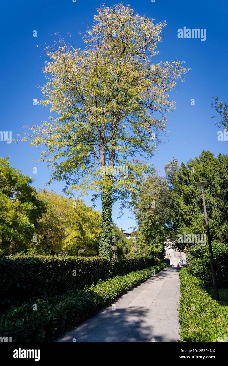 The Park of Vladimir Nazor, green space just outside the Old Town walls ...
