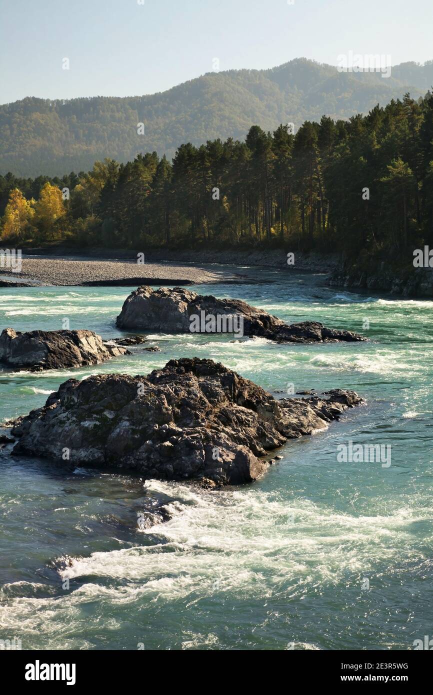 Katun river in Manzherok village. Altai Republic. Russia Stock Photo ...