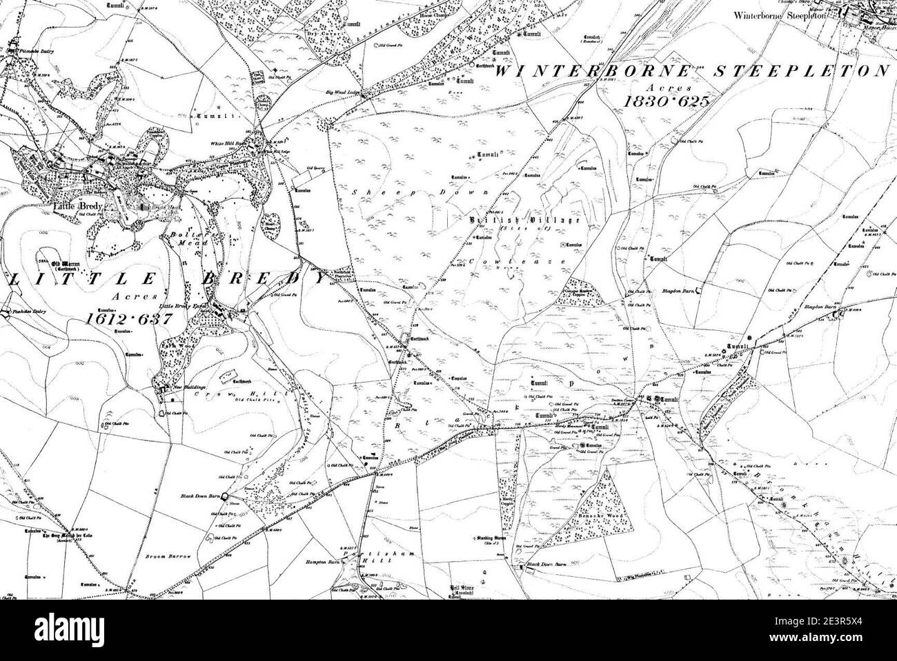 Map of Dorset OS Map name 046-NE, Ordnance Survey, 1888-1892 Stock ...