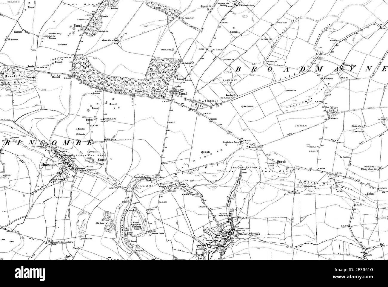Map of Dorset OS Map name 047-SE, Ordnance Survey, 1888-1892 Stock ...
