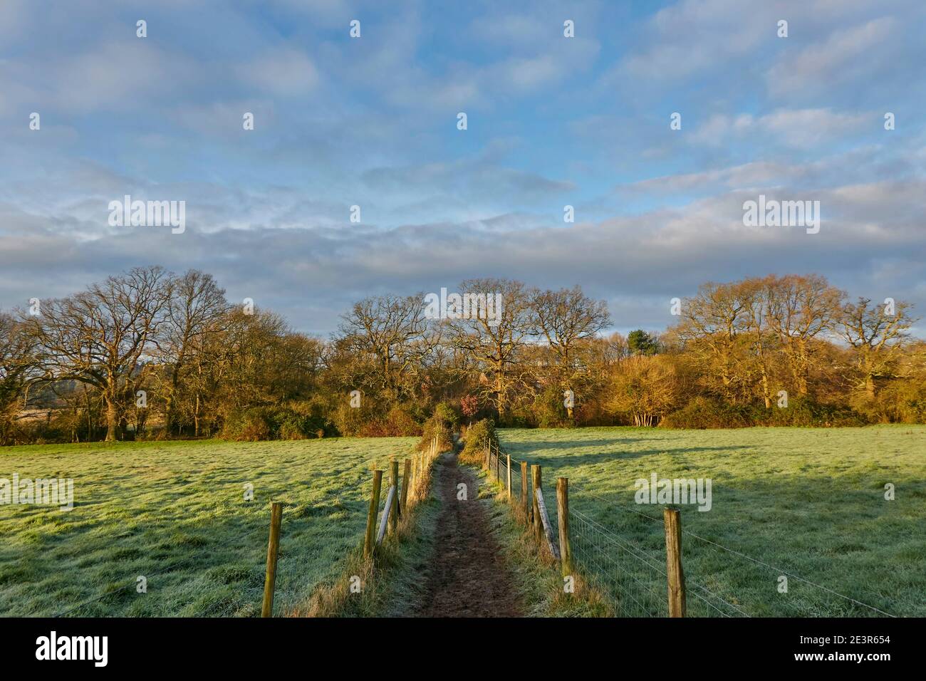 Winter morning the Greensand Way Redhill Surrey UK Stock Photo - Alamy