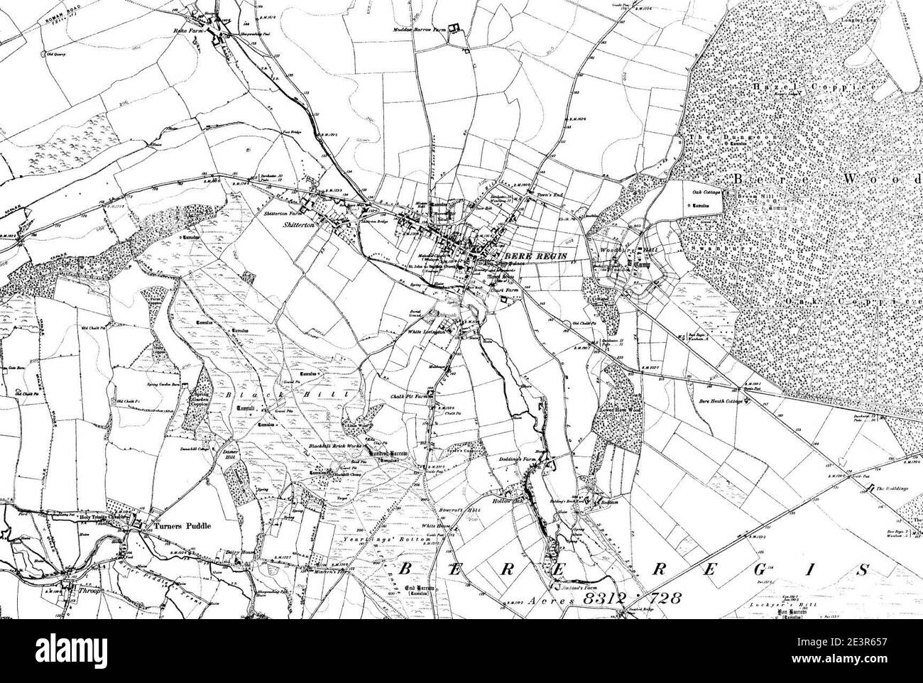 Map of Dorset OS Map name 042-NW, Ordnance Survey, 1888-1892 Stock ...
