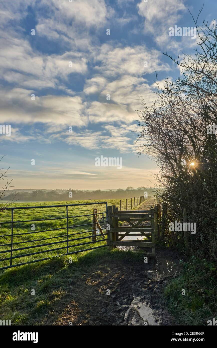Winter morning the Greensand Way Redhill Surrey UK Stock Photo - Alamy