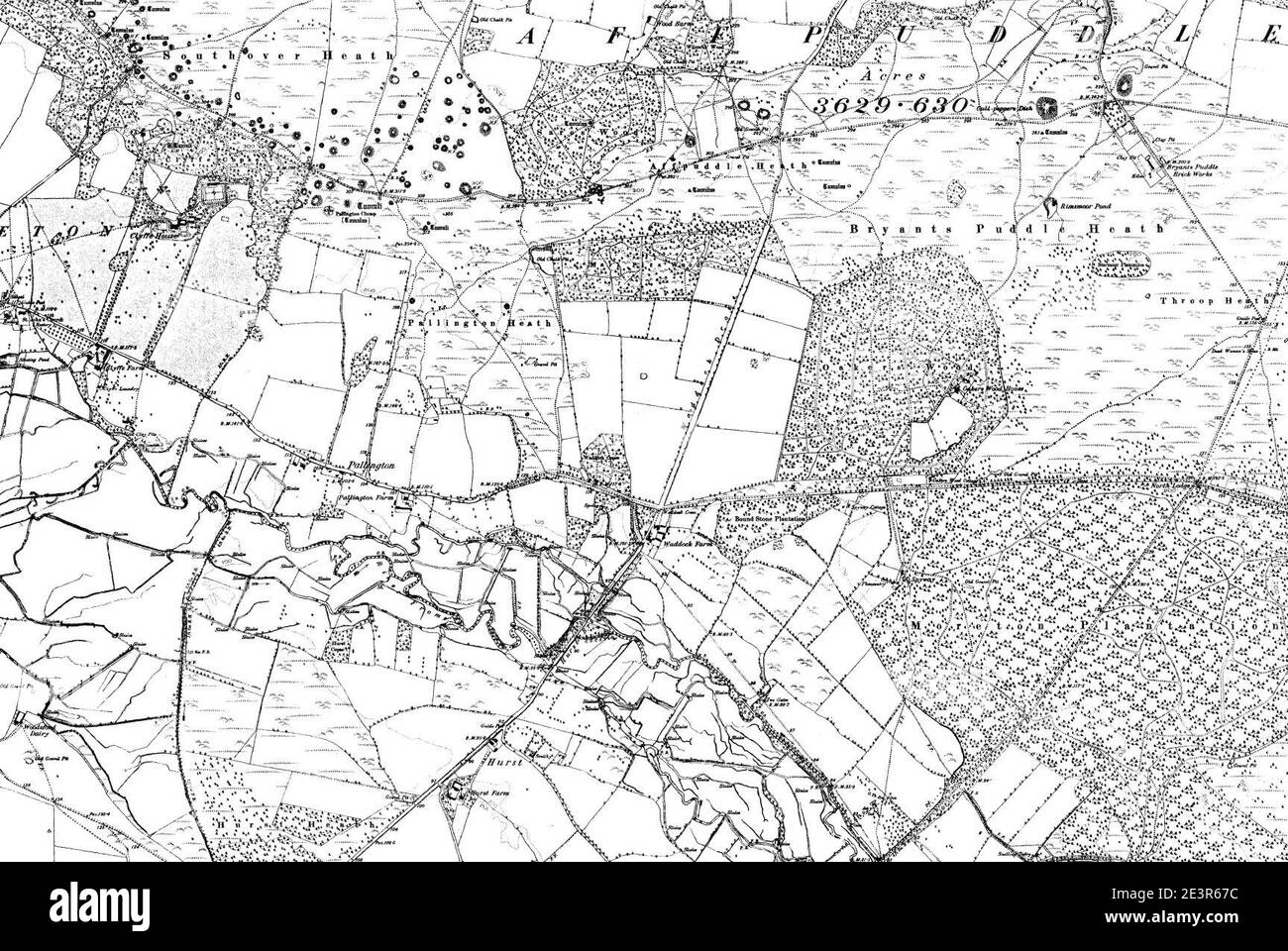 Map of Dorset OS Map name 041-SE, Ordnance Survey, 1888-1892 Stock ...