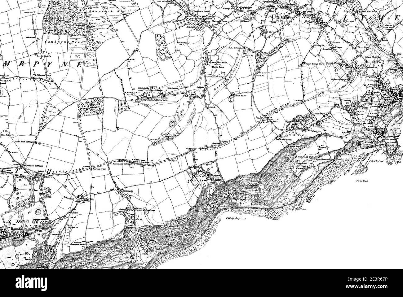 Map of Dorset OS Map name 036-SE, Ordnance Survey, 1888-1892 Stock ...