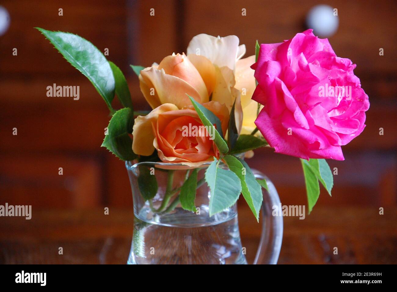 Fresh colorful roses from the garden in a glass vase indoor in a ...