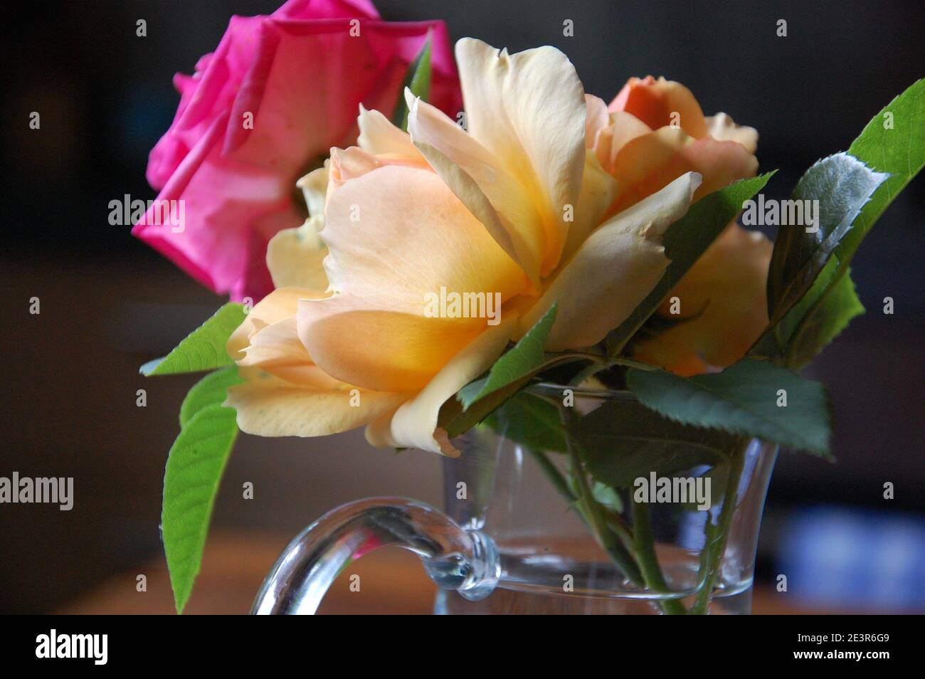 Fresh colorful roses from the garden in a glass vase indoor in a ...