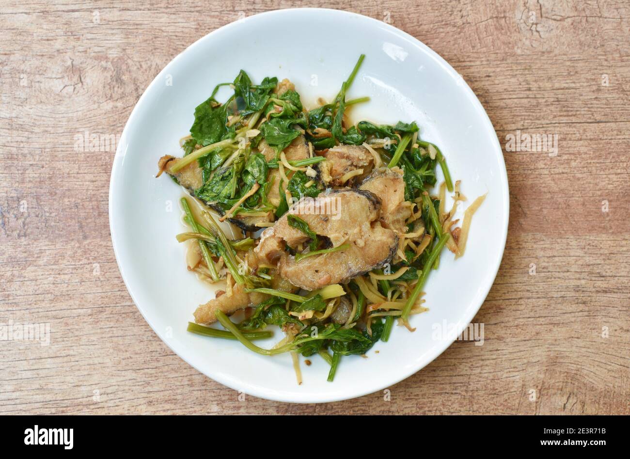 Snake head fish deep hi-res stock photography and images - Alamy