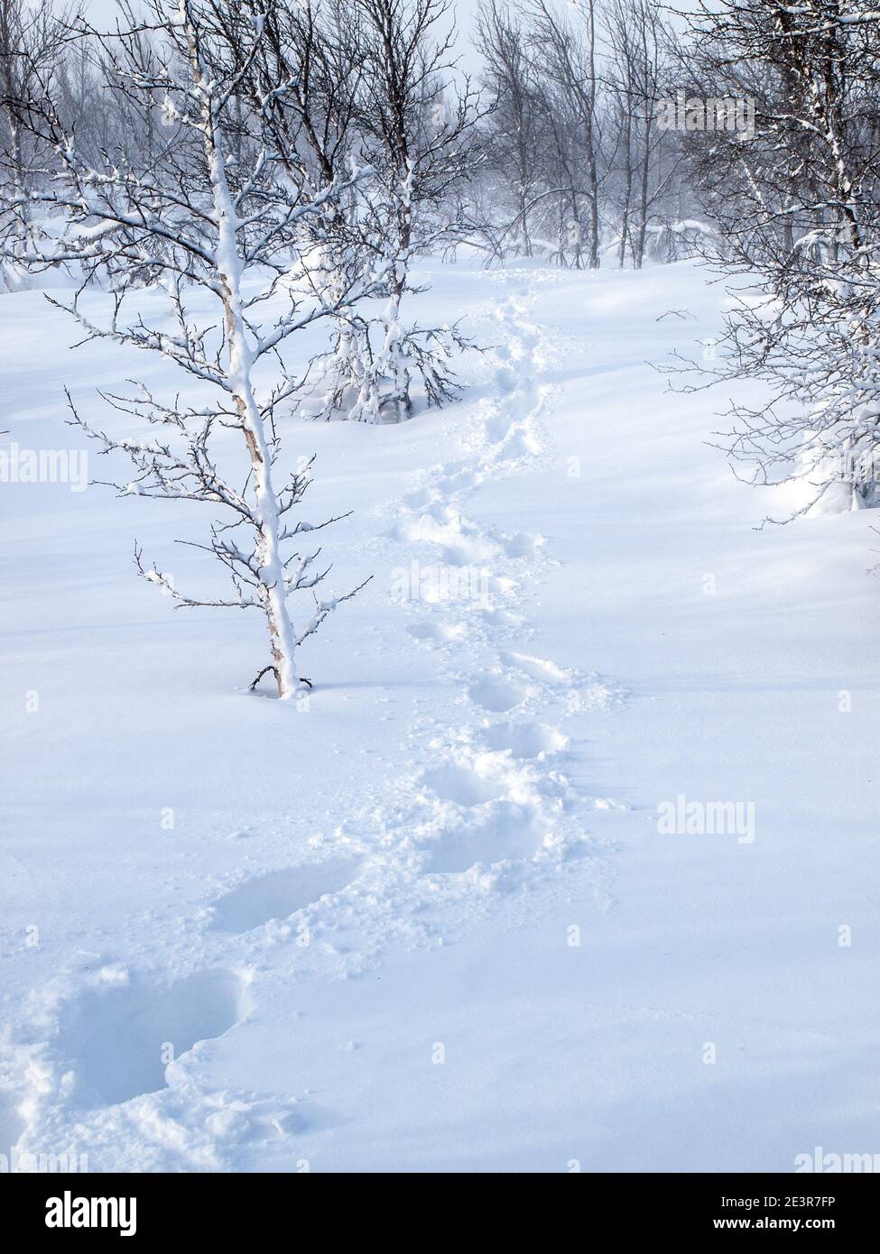 Deep footprints hi-res stock photography and images - Alamy