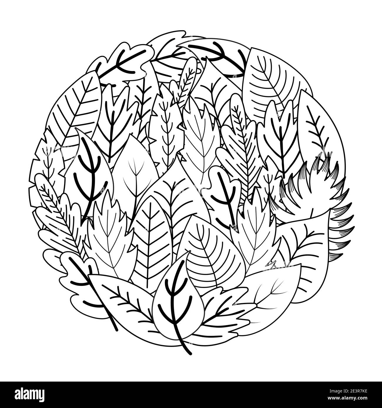 Circle shape coloring page with doodle leaves. Black and white floral ...