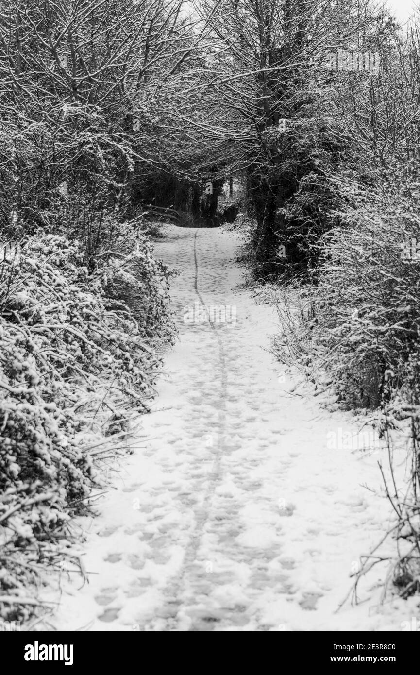 Ice lane Black and White Stock Photos & Images - Alamy