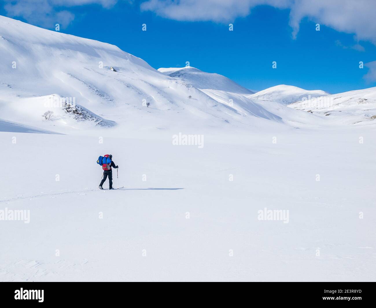 A skier ski-touring in the Rondane National Park, Norway, Scandinavia ...