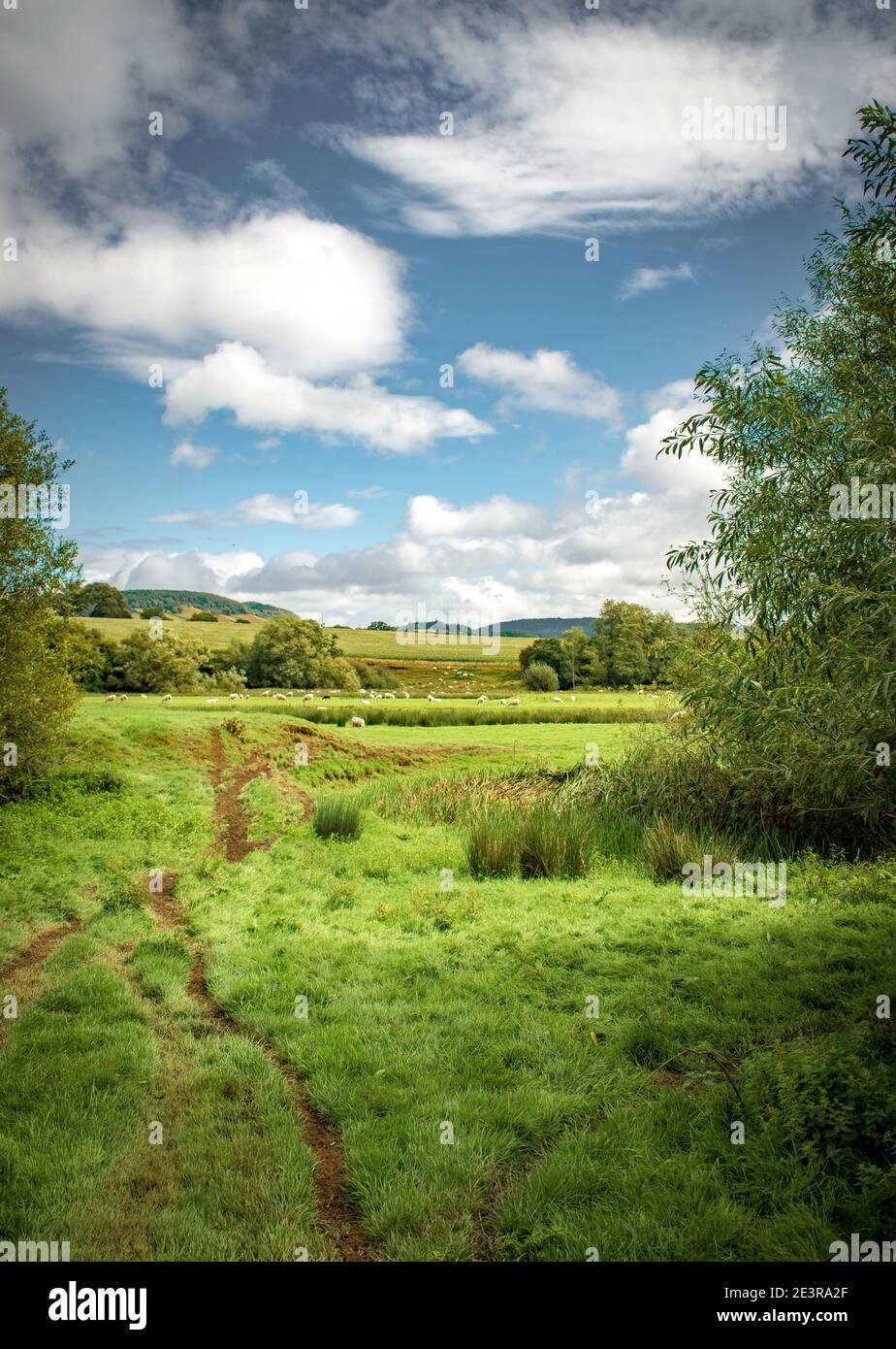 Rolling Hills of Leintwardine, Shropshire Stock Photo - Alamy