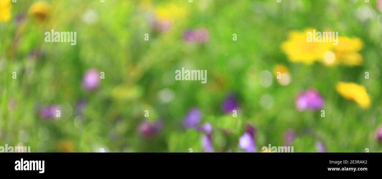 A floral blurred background representing spring Stock Photo - Alamy