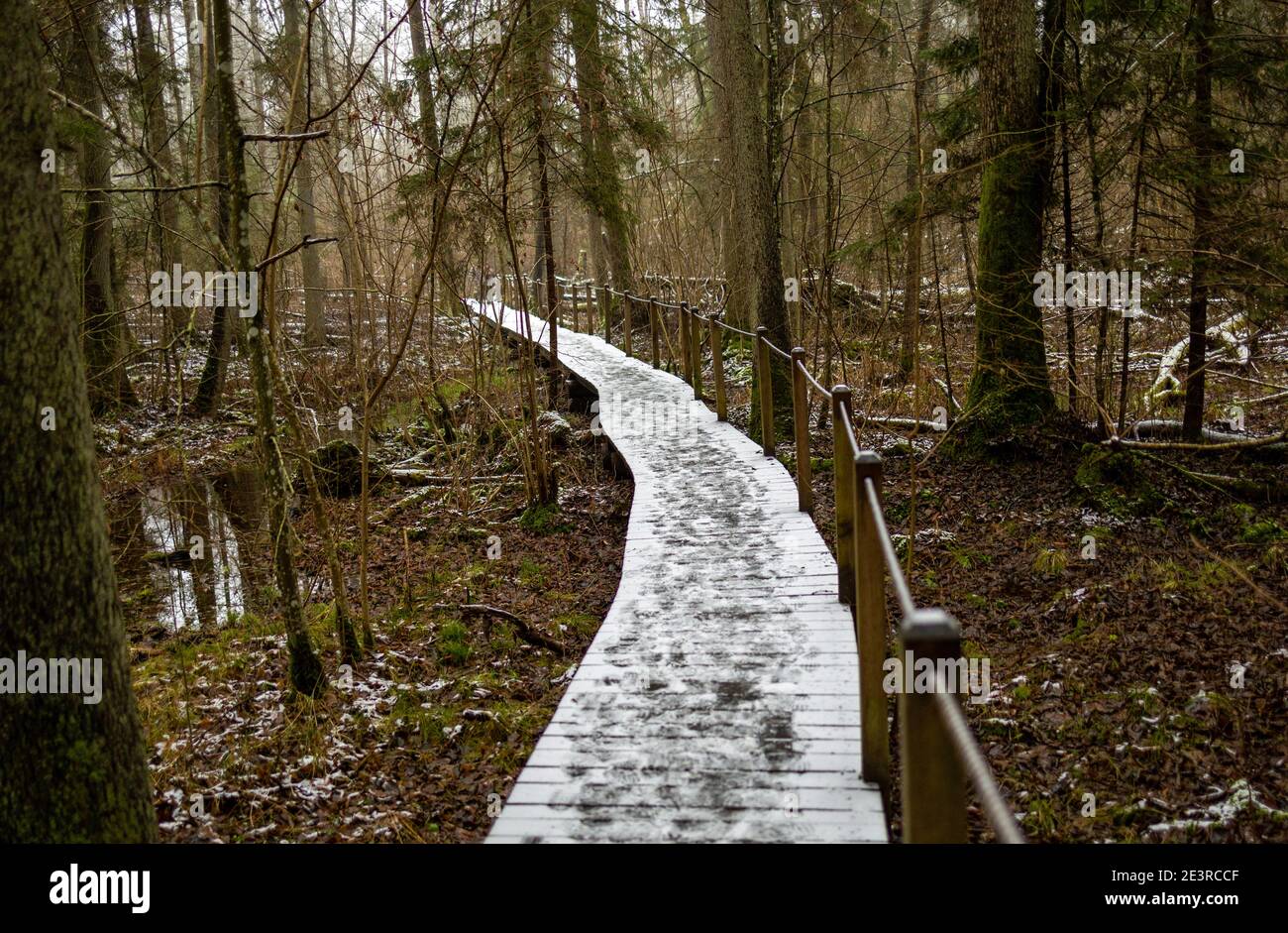 Wooden planks trail path pathway hi-res stock photography and images ...
