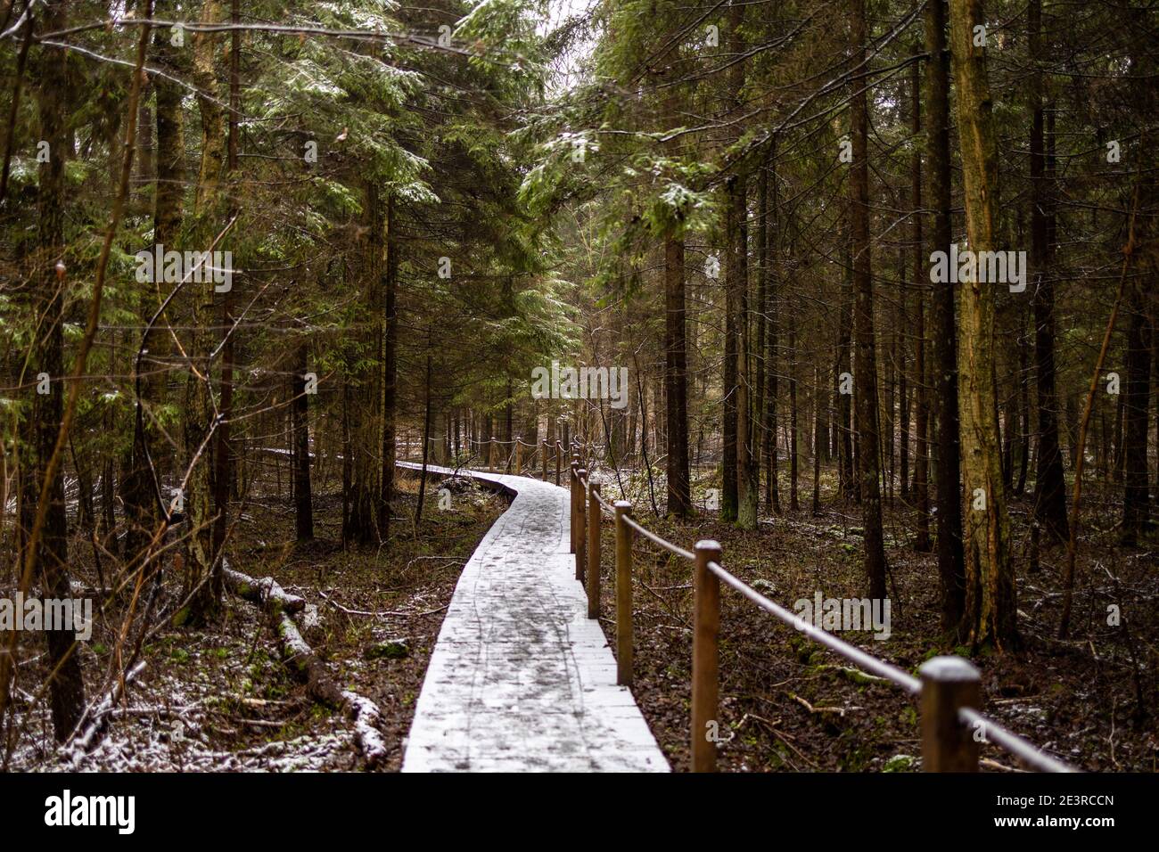 Wooden planks trail path pathway hi-res stock photography and images ...
