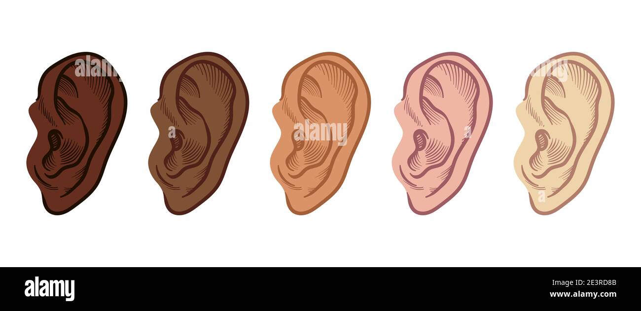 Set of Hand Drawn Ear Sketch Symbol with different skin color. Vector ...