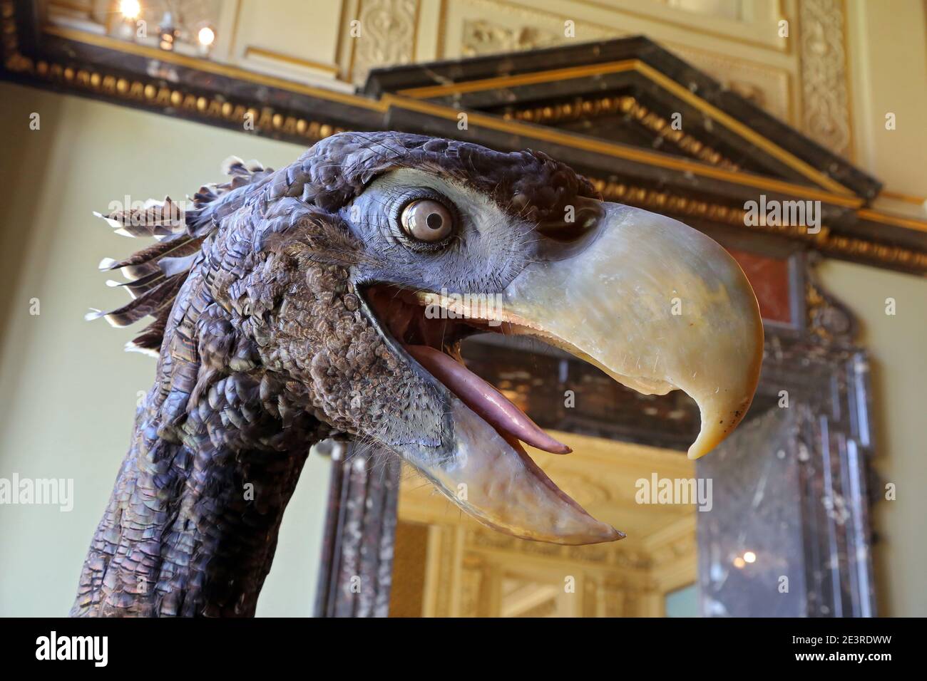 Vienna, Austria - April 24, 2019: Exhibitions and displays of ...