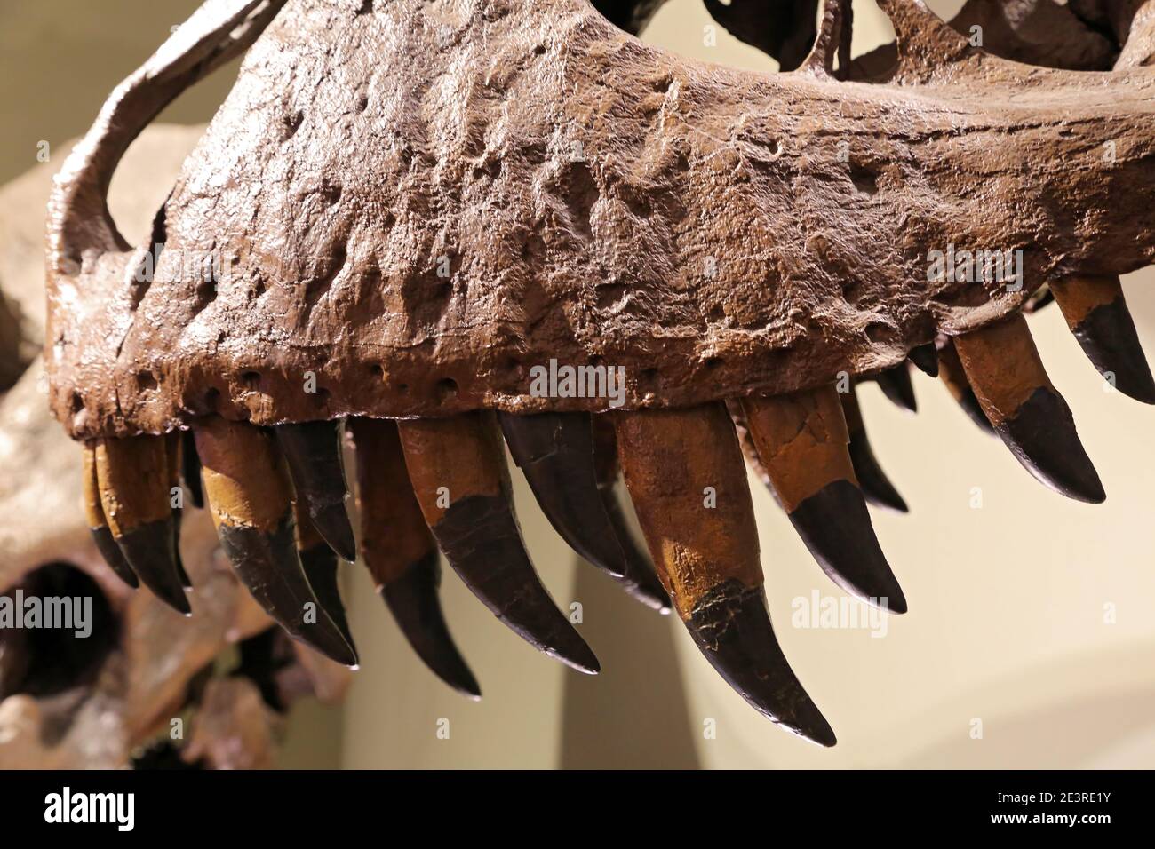 Vienna, Austria - April 24, 2019: Exhibitions and displays of ...