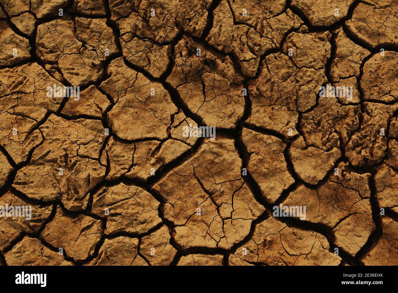 Cracked earth clay soil hi-res stock photography and images - Alamy