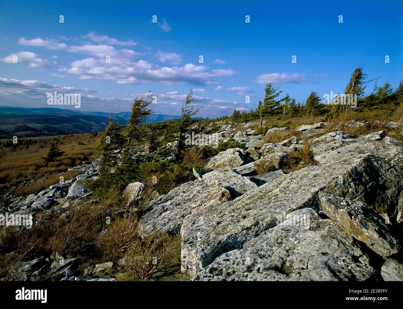 Spruce Knob in the Monongahela National Forest is the highest point in ...