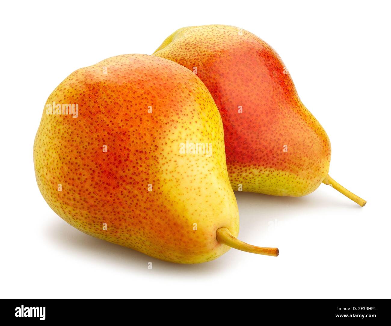 duchess pear path isolated on white Stock Photo - Alamy