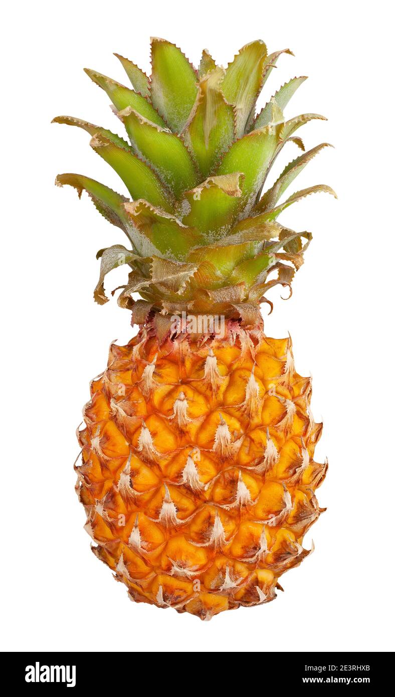 mini pineapple path isolated on white Stock Photo - Alamy
