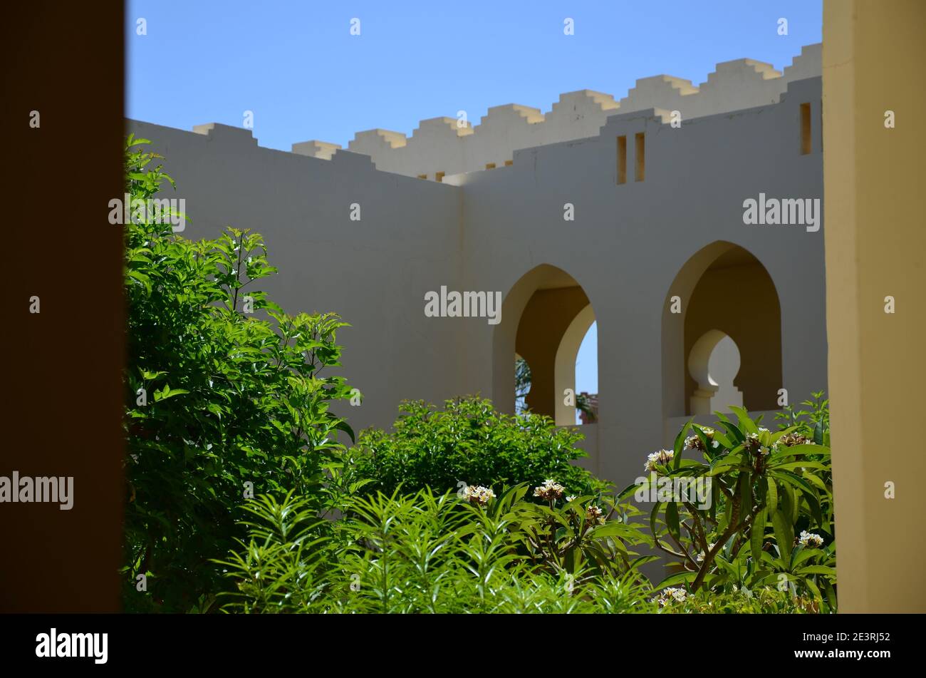 Cairo university campus hi-res stock photography and images - Alamy